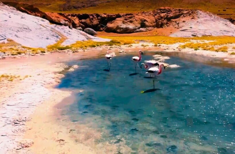 Salt Flats Expedition - Intimate Journey + Culinary Delights - FAQ