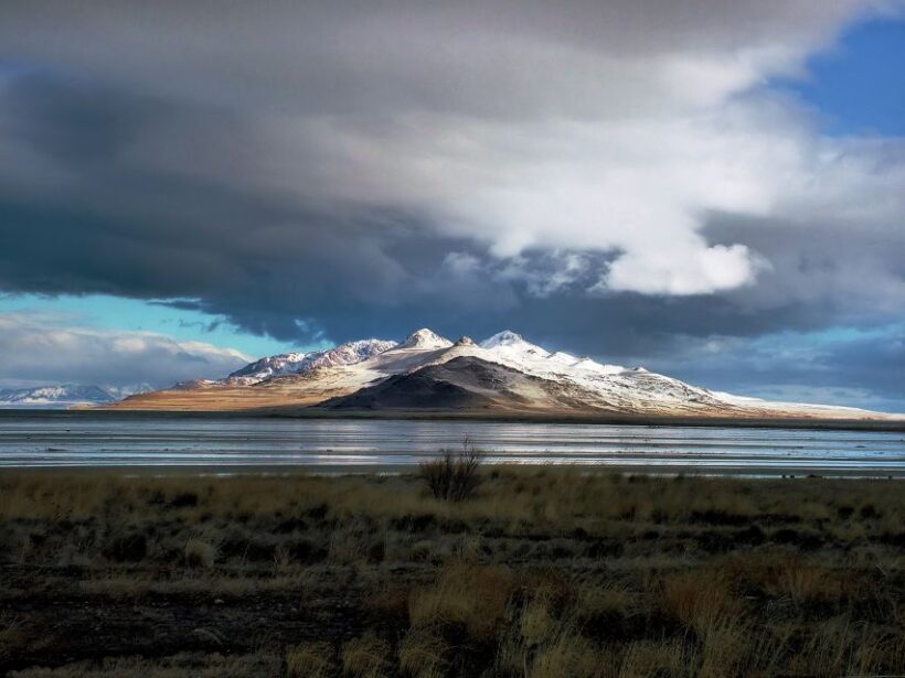 Salt Lake City: Great Salt Lake Antelope Island Guided Tour - Key Points: