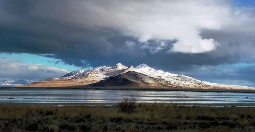 Salt Lake City: Great Salt Lake Antelope Island Guided Tour - A Full Breakdown of the Experience