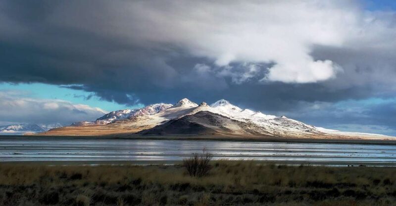 Salt Lake City: Great Salt Lake Antelope Island Guided Tour - Authentic Experiences and Traveler Insights