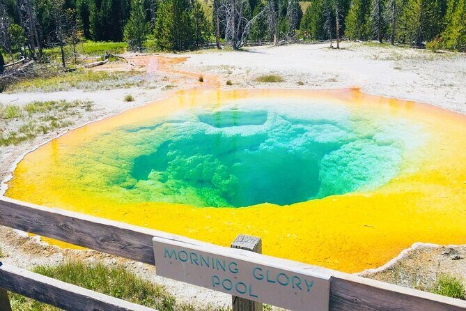 Salt Lake City to Yellowstone and Mt Rushmore 4 Day Tour - Introduction