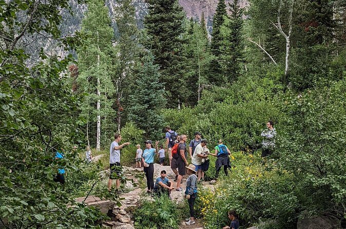 Salt Lake City's Top Guided Hiking Tour with Charcuterie board - The Sum Up: Who Will Love This Tour?
