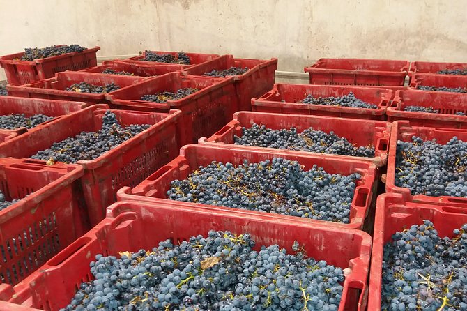 Salt Mine, the Muddy Volcanoes and Wine Tasting Private Day Tour From Bucharest! - Lacerta Winery: Optional Wine Tasting Experience