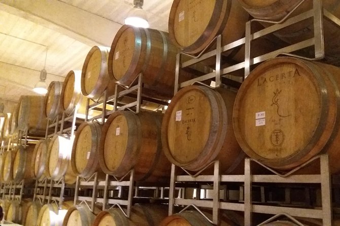 Salt Mine, the Muddy Volcanoes and Wine Tasting Private Day Tour From Bucharest! - Tour Logistics: Details and Requirements