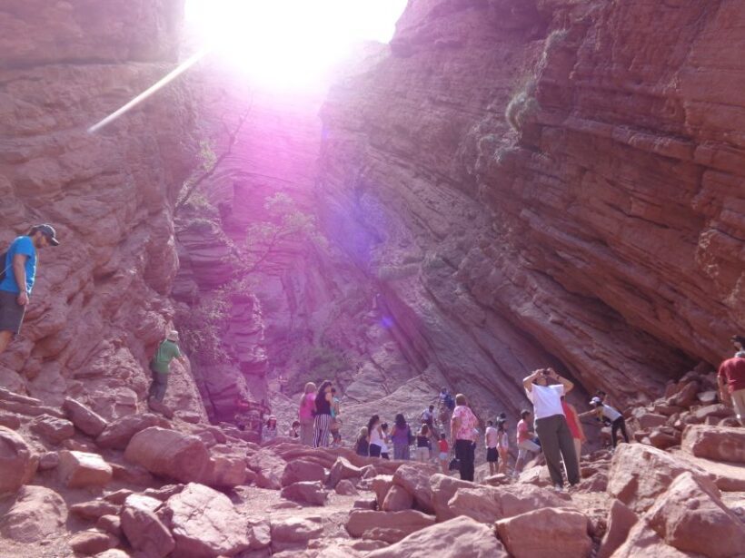 Salta: 2-Day Tour to Cafayate - Transportation and Comfort