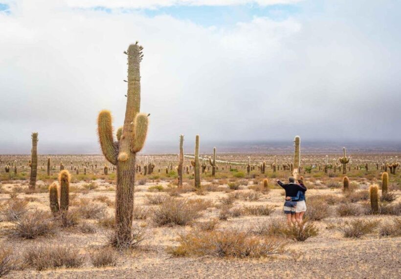 Salta: Calchaquí Valley Scenic Drive and Day Trip to Cachi - Frequently Asked Questions