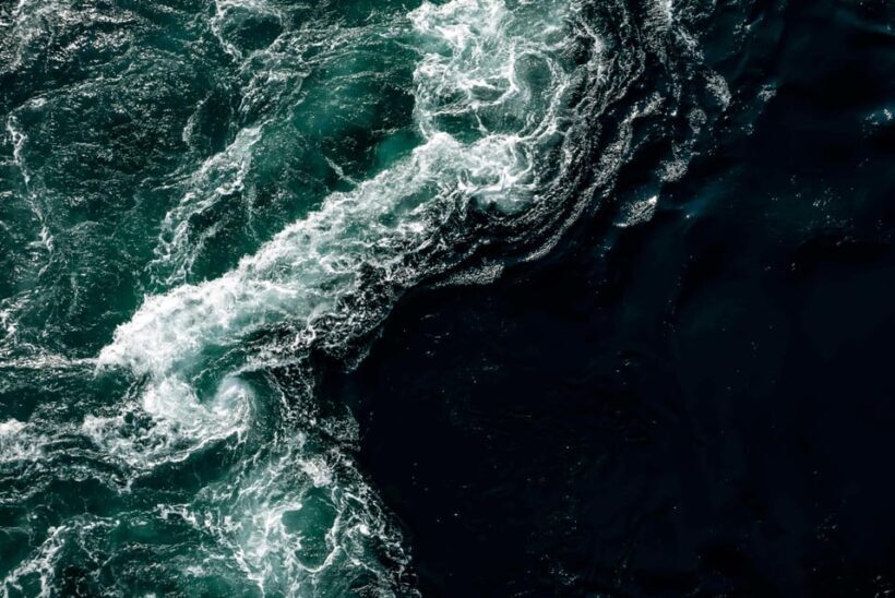 Saltstraumen: Arctic Adventure and Scenic Journey - Who Should Consider This Tour?
