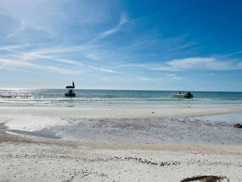 Salty Turtle Adventure Charter - Key Points