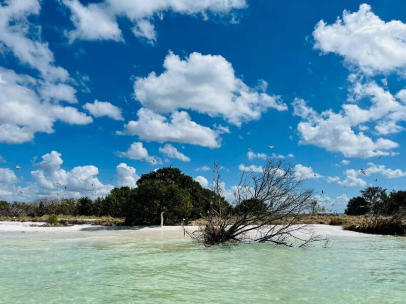 Salty Turtle Adventure Charter - The Real Value of This Experience