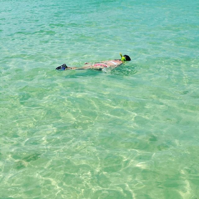 Salty Turtle Adventure Charter - Who Will Love This Tour?