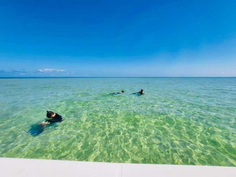 Salty Turtle Adventure Charter - Final Thoughts