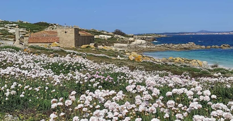 Salvora: Island Tour with Mussel Tasting - Summary: Why Choose This Tour?