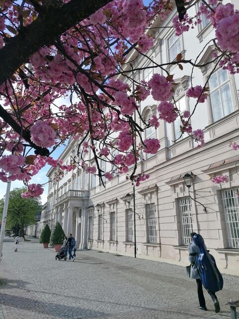Salzburg: Classical Music Concert at the Mirabell - An In-Depth Look at the Concert Experience