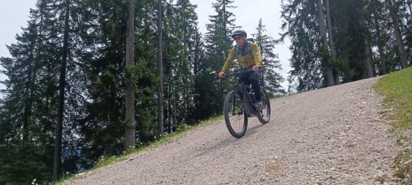 Salzkammergut: Guided e-bike tour to the alpine pastures in Gosau and Hallstatt - Key Points
