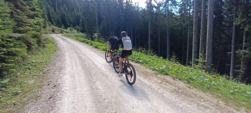 Salzkammergut: Guided e-bike tour to the alpine pastures in Gosau and Hallstatt - The Stops and Photo Opportunities