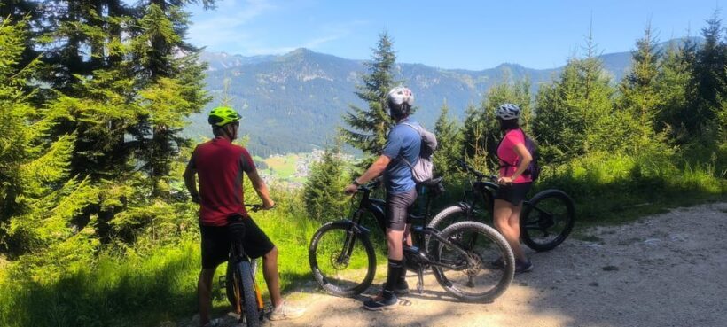 Salzkammergut: Guided e-bike tour to the alpine pastures in Gosau and Hallstatt - Who Will Love This Tour