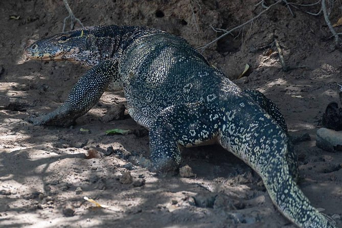 Sam Roi Yod National Park & Praya Nakhon Cave Join Group Tour - Transportation and Duration