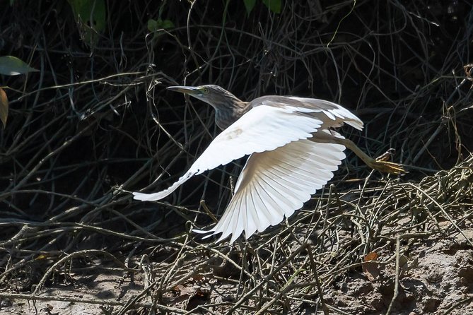 Sam Roi Yod National Park & Praya Nakhon Cave Join Group Tour - FAQs