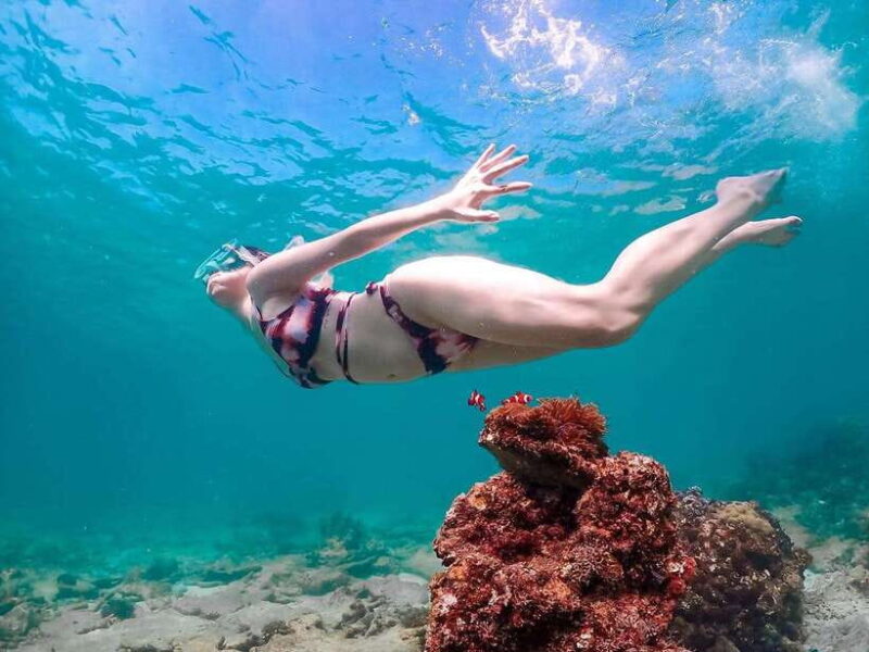 Samaesarn : Finding Nemo Snorkeling Tour Private speedboat - Who would love this tour?