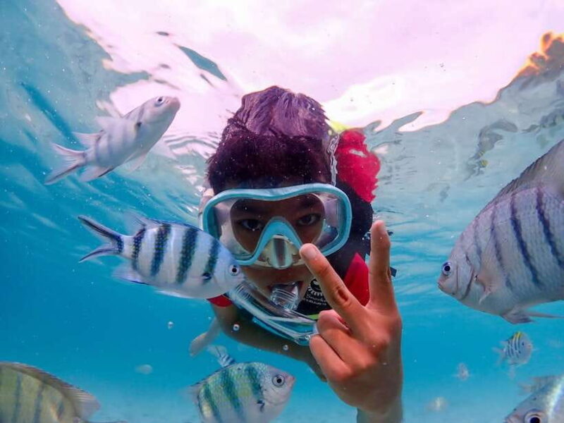 Samaesarn : Finding Nemo Snorkeling Tour Private speedboat - Summary: Is it worth it?