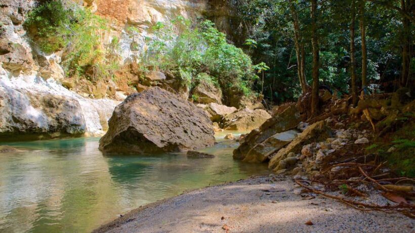 Samana Adventure: Cayo Levantado & El Limón Waterfall combo - Real Traveler Insights