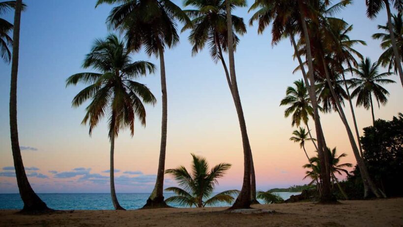 Samana Adventure: Cayo Levantado & El Limón Waterfall combo - FAQ