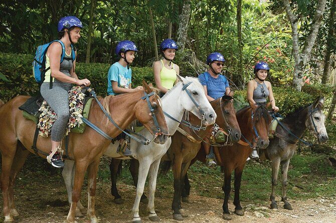 Samaná and Cayo Lemon Waterfall from Punta Cana - Who Will Love This Tour?