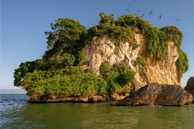 Samaná Bacardi Island and Los Haitises from Punta Cana with Lunch - Key Points