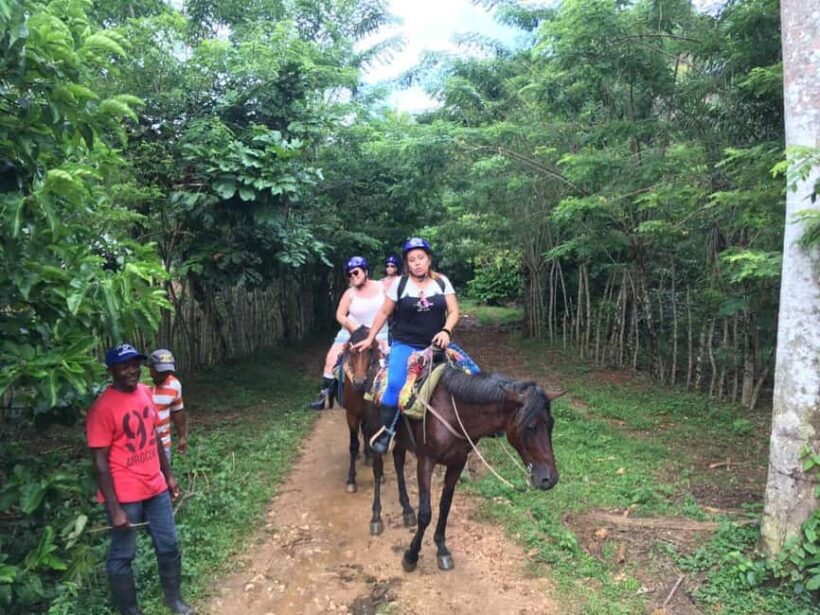 Samana, Ballenas, Cayo Levantado, Horseback Riding - A Detailed Look at What You Can Expect