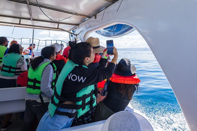 Samana Bay and Cayo Levantado Whale Watching Tour from Punta Cana - Final Thoughts