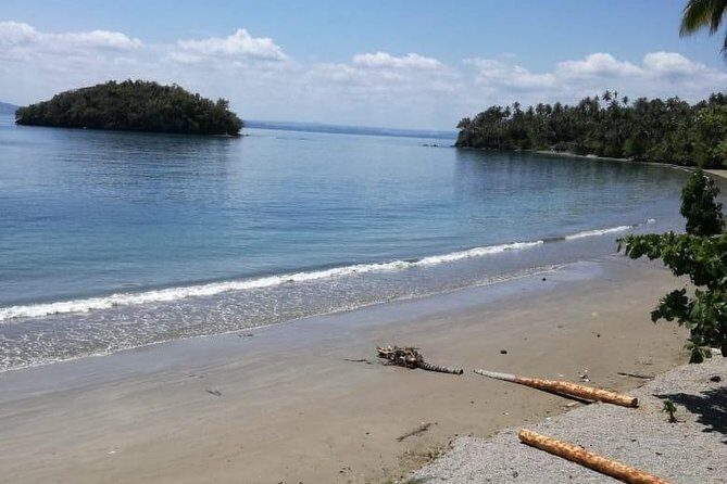 Samana Bay: Bacardi Island and Limon Waterfall - Authentic Experiences and Traveler Insights