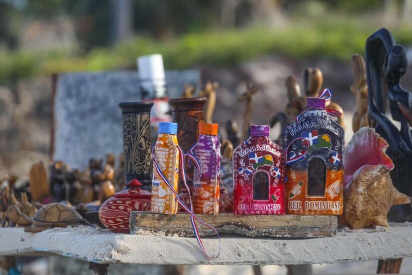 Samaná: Cayo Levantado Day Trip - The Value of the Experience