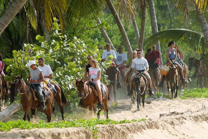 Samana + Cayo Levantado + Horseback Riding from Punta Cana with Lunch - Review Highlights & Real Traveler Opinions