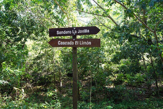 Samana City & El Limon Waterfall Small Group Full Day Shared Tour - Authentic Insights from Travelers