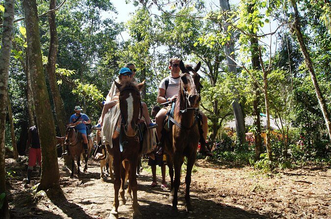 Samana City & El Limon Waterfall Small Group Full Day Shared Tour - Who Will Love This Tour?