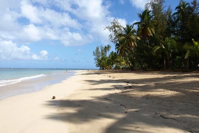 Samana Day Tour: Cayo Levantado & Rincon Bay Paradise - Analyzing the Value and Practicality