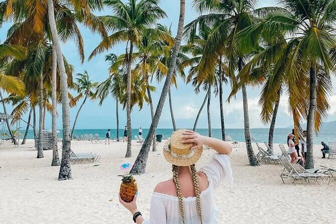 Samana Day Trip from Puntacana and El limon Waterfall - Introduction