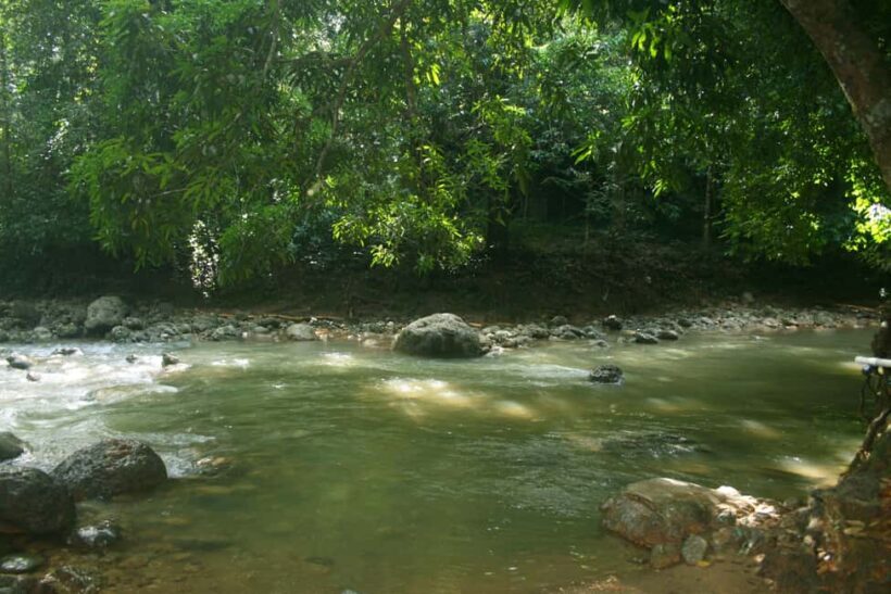 Samaná: El Limón Waterfall Horseback Riding Tour - What the Reviews Say