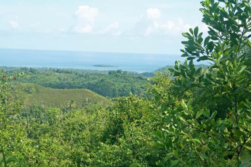 Samaná: El Limón Waterfall Horseback Riding Tour - Key Points