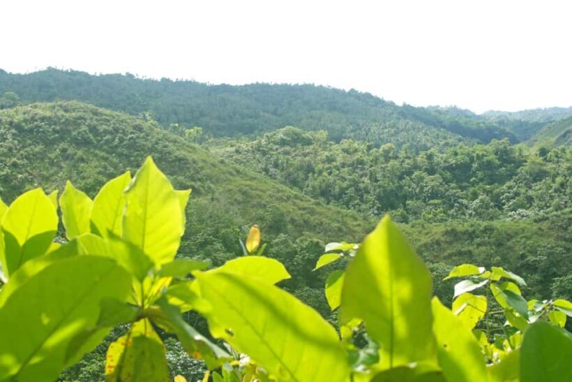 Samaná: El Limón Waterfall Horseback Riding Tour - Final Thoughts