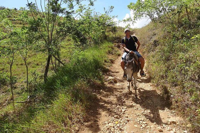 Samaná Full-Day Cultural Adventure Tour from Santo Domingo - Who Should Consider This Tour?