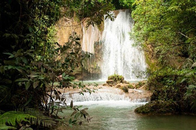 Samana Full Day From Punta Cana - FAQ