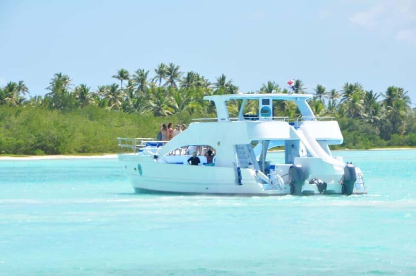 Samana: Half Day Whale Watching Humpback Whale Watching - Key Points