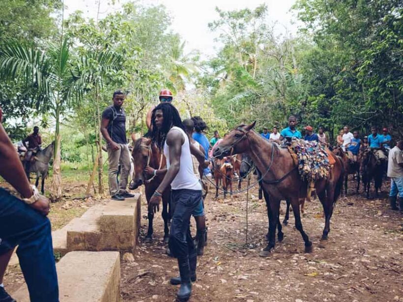 Samaná: Horseback Riding to El Limón Waterfall with Lunch - FAQ