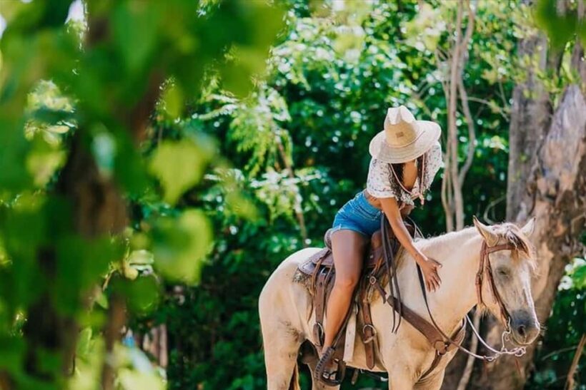 Samana: HorseRiding, Boat Tour in Los Haitises + Cano Hondo - An In-Depth Look at the Tour