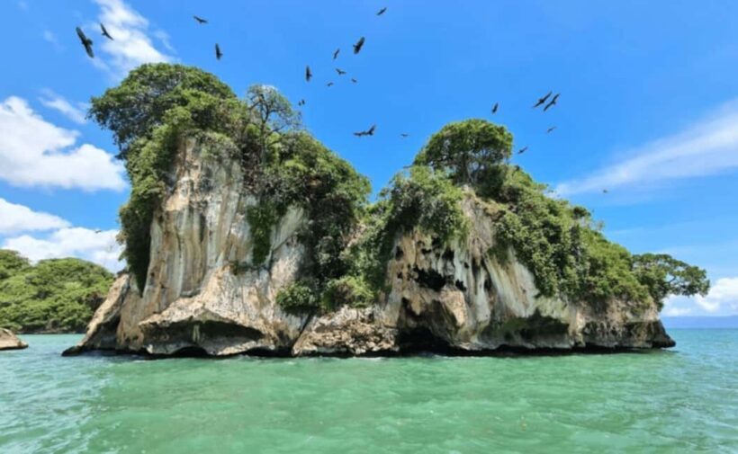 Samana: Los Haitises, Caño Hondo, Kayak Tour with Lunch - The Experience Provider and Ratings