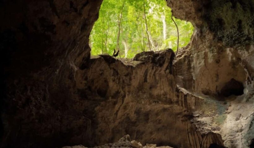 Samana: Los Haitises, Caño Hondo, Kayak Tour with Lunch - Similar Experiences in the Area