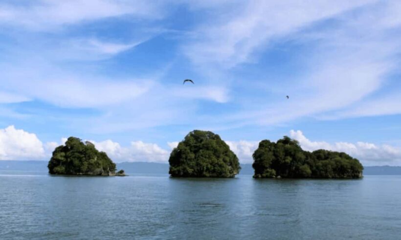 Samana: Los Haitises, Caño Hondo, Kayak Tour with Lunch - FAQ