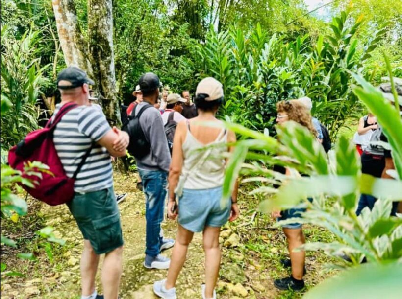 Samana: Los Haitises National Park & Caño Hondo Day Tour - The Final Leg and Return