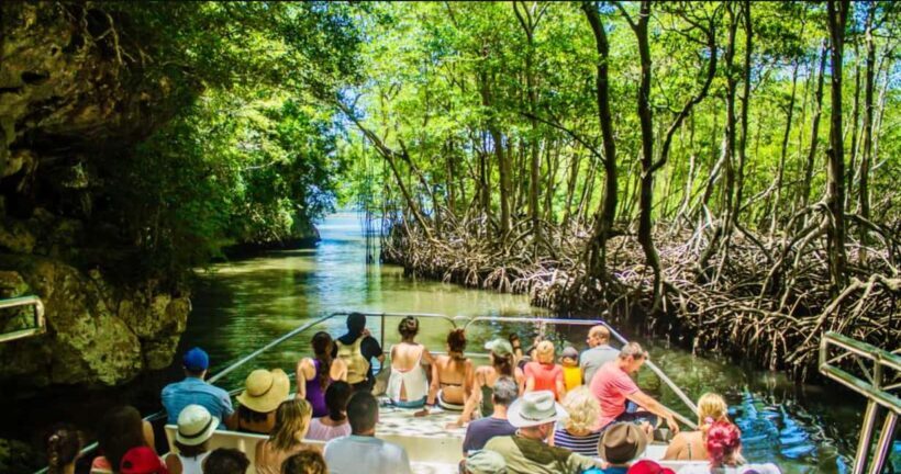 Samana: Los Haitises National Park & Cayo Levantado Tour - The Real Value of the Tour